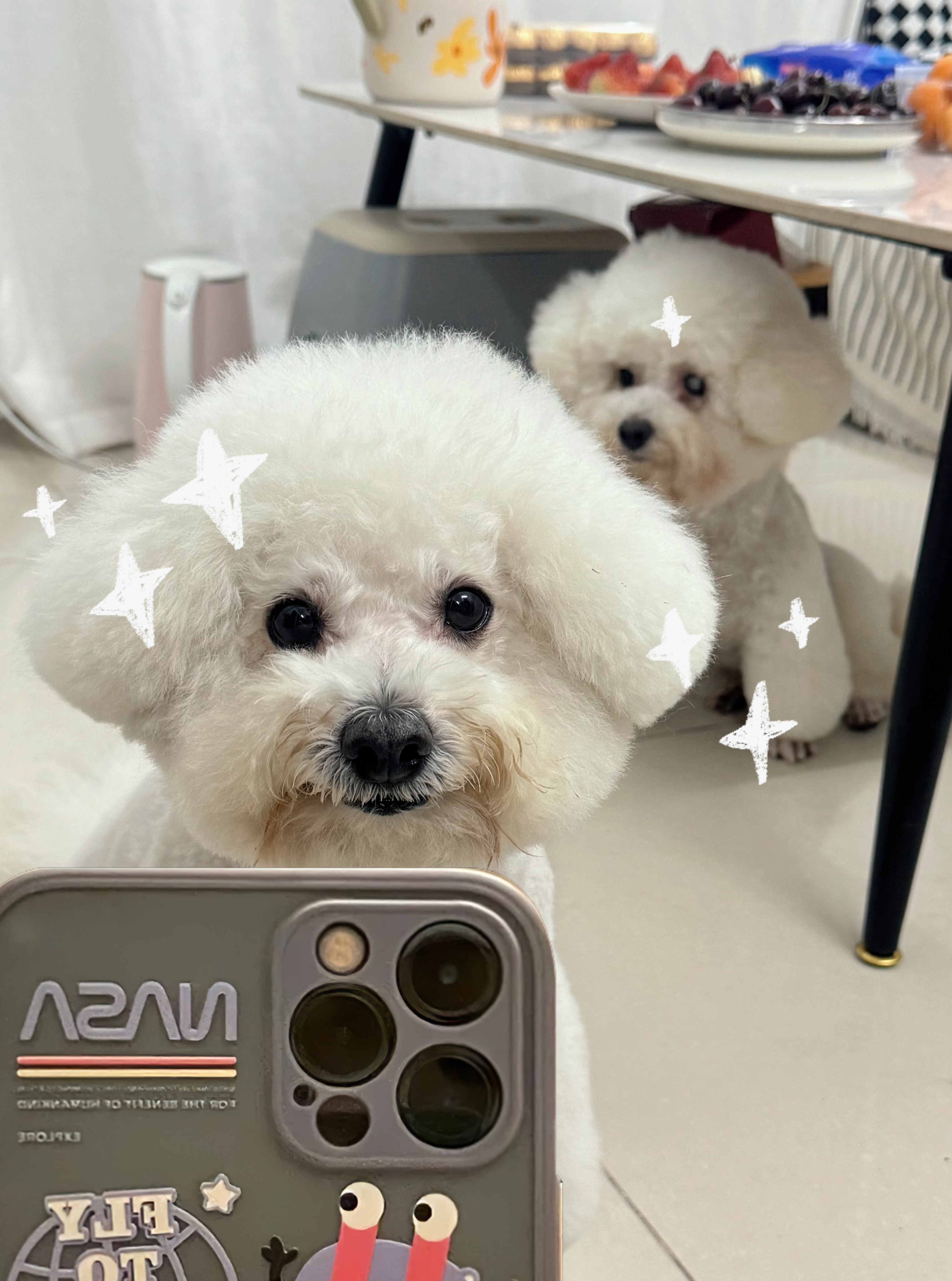 Speak Now | SharpLingo