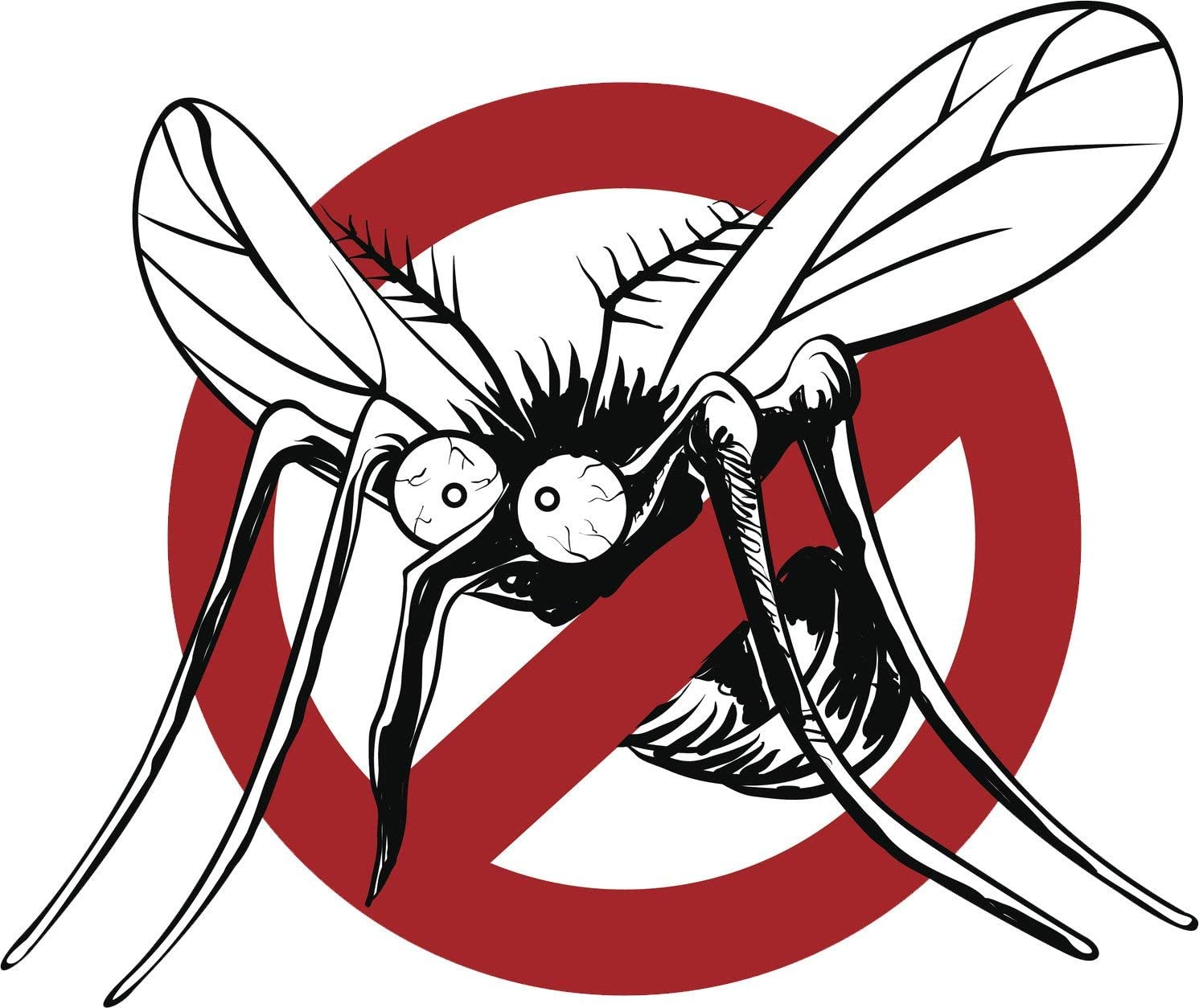 Speak Now | SharpLingo